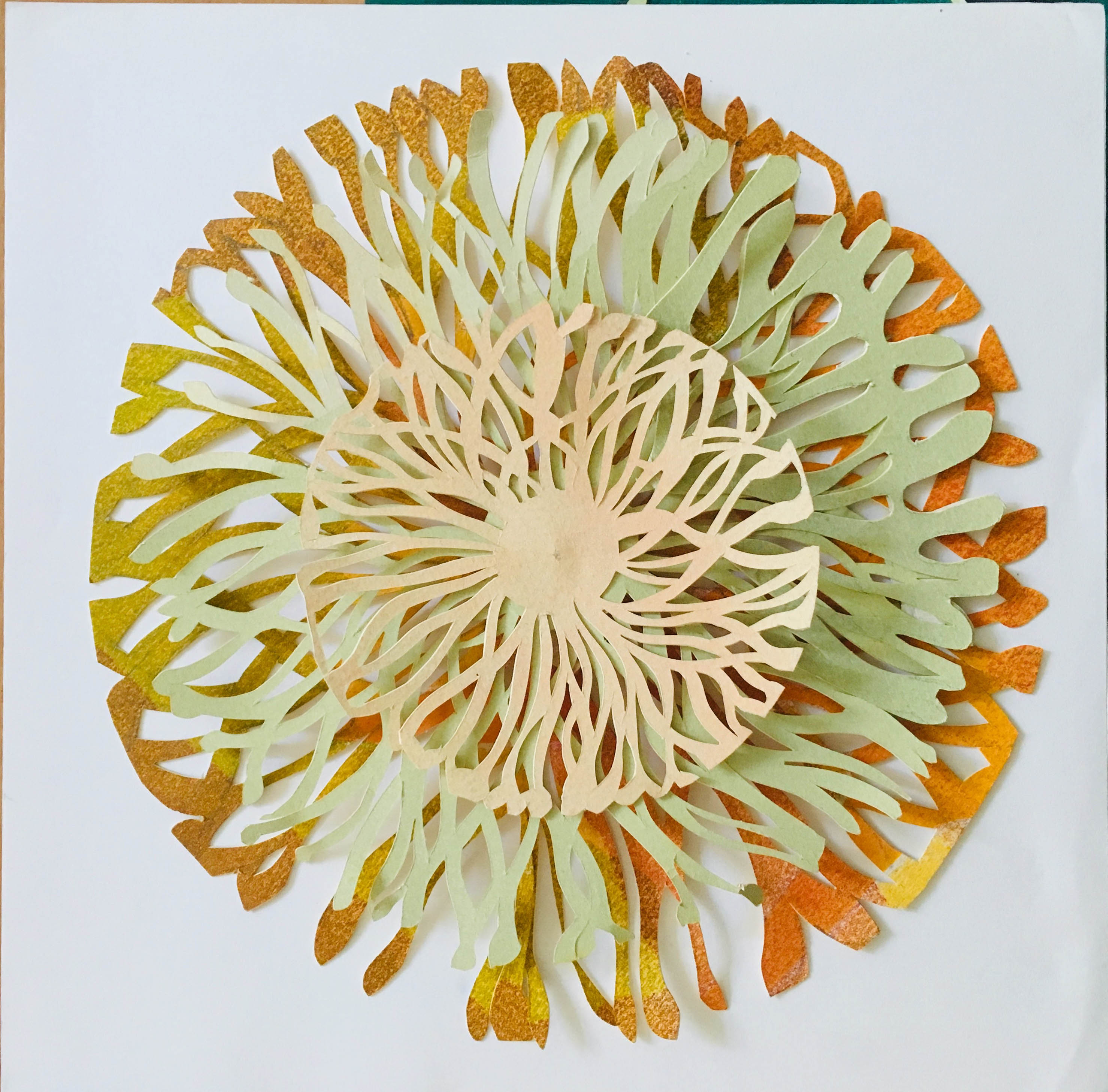 Blossom 2 | Bhajan Hunjan